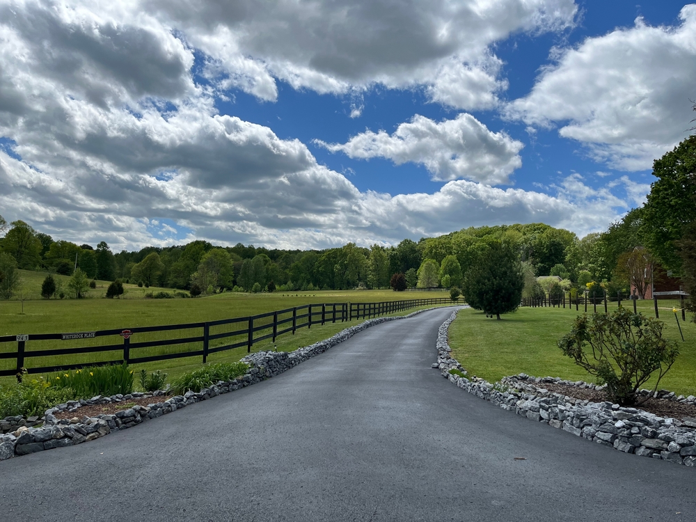 What are the most common pests in Middle Tennessee? - True Pest Solutions